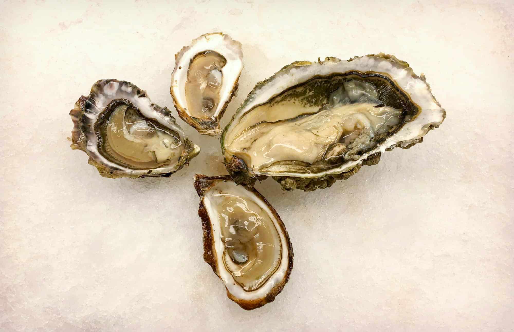 L'ABC du party d'huîtres réussi | Urbaine City