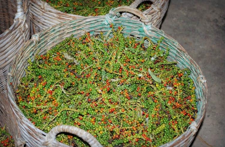 Vietnamese cuisine: Vietnam in 10 dishes (continued) - Urbaine City