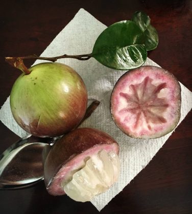 Cuisine vietnamienne : le Vietnam en 10 plats (suite) - Urbaine City