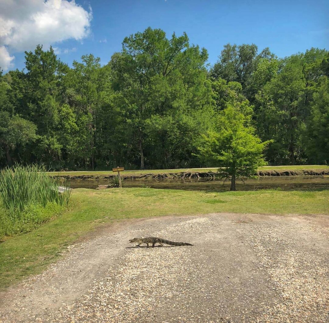 Roadtrip en Louisiane: 7 activités à ne pas manquer - Urbaine City