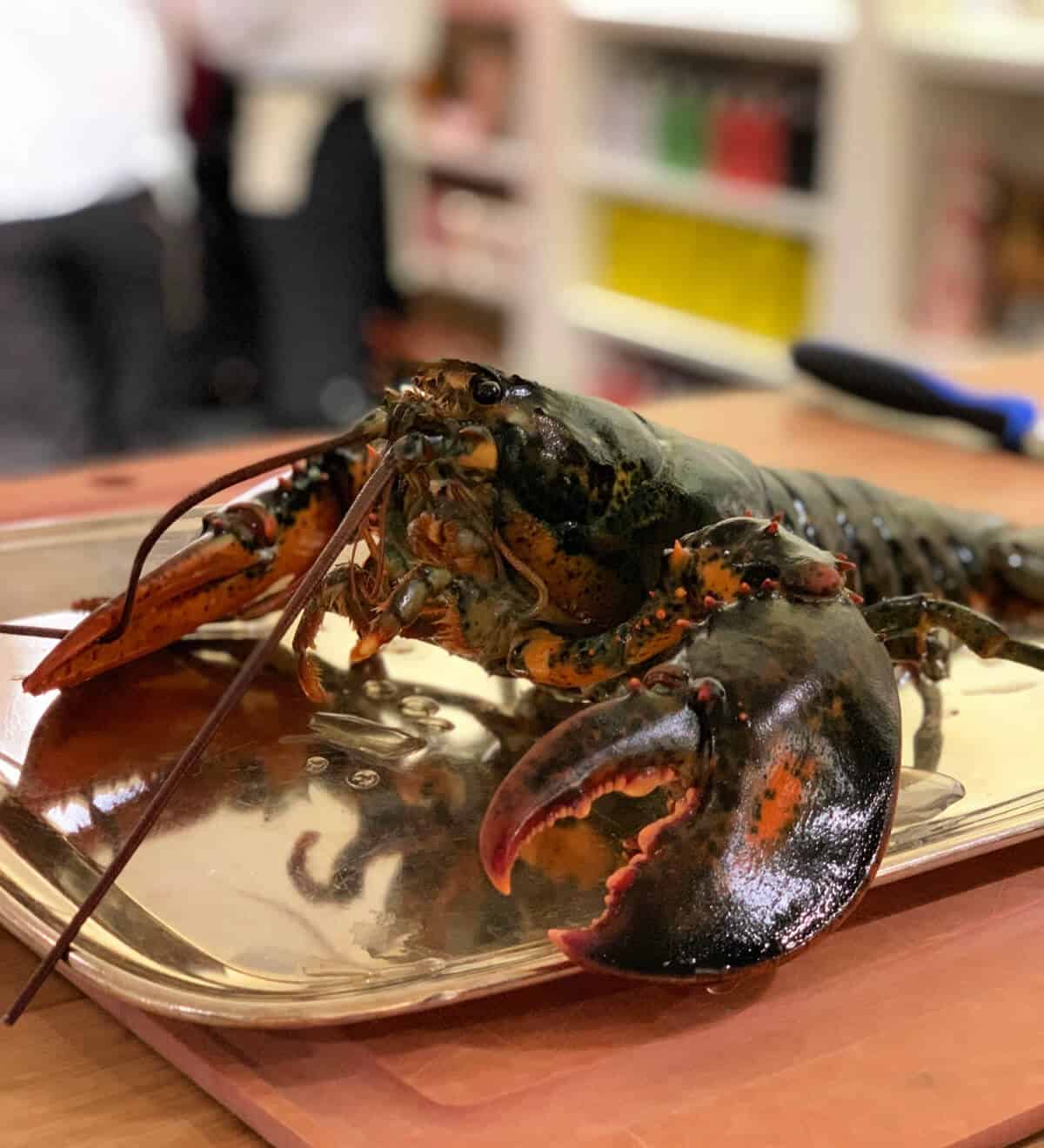 Le homard: comment le cuire, le décortiquer et l'apprêter - Urbaine City