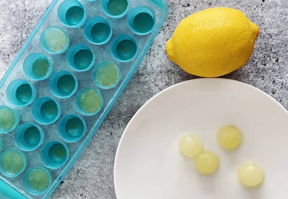 12 foods that freeze well in an ice cube tray - Urbaine City
