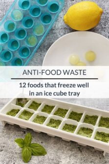 12 foods that freeze well in an ice cube tray - Urbaine City