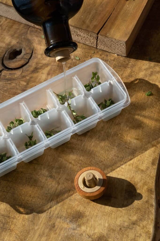 12 foods that freeze well in an ice cube tray - Urbaine City