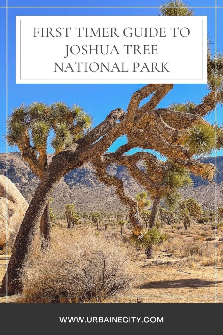 How to plan your visit to Joshua Tree National Park - Urbaine City