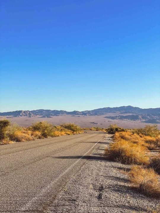 How to plan your visit to Joshua Tree National Park - Urbaine City