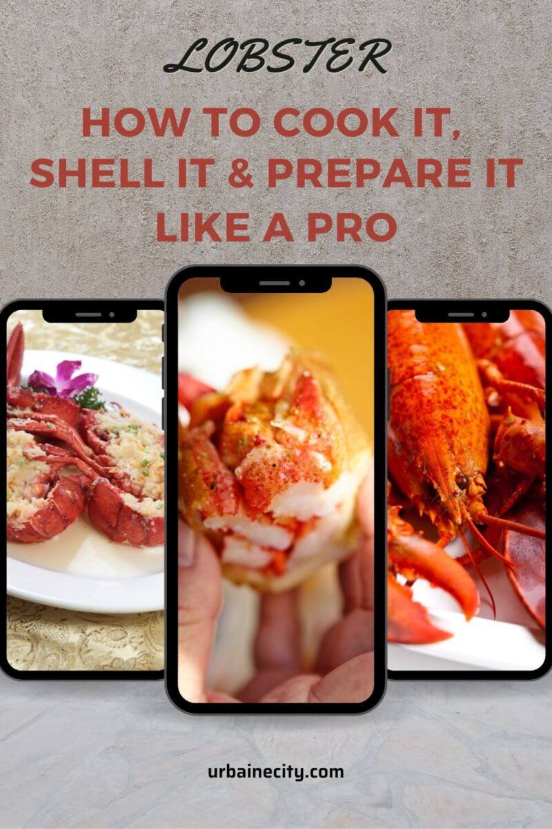 All about lobster: cooking, shelling and preparation - Urbaine City.
