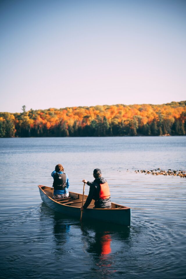 8 activities to do in Chelsea and Wakefield - Urbaine City