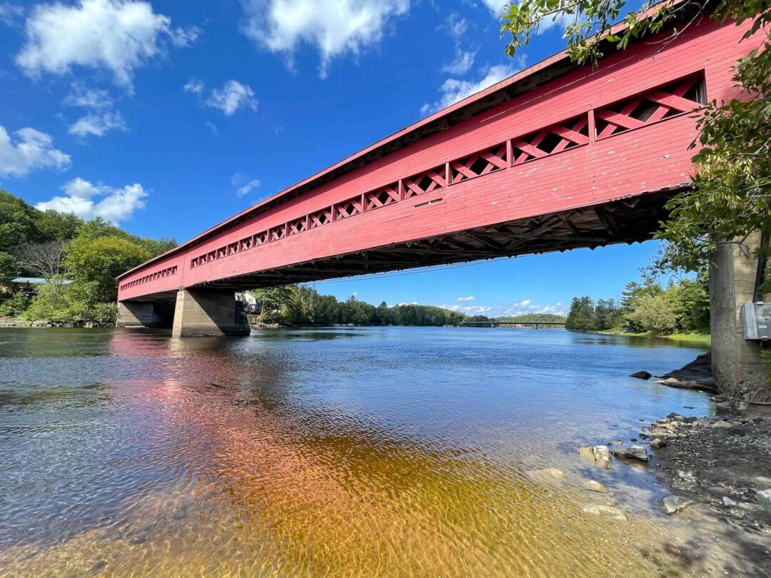 8 activities to do in Chelsea and Wakefield - Urbaine City