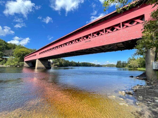 8 activities to do in Chelsea and Wakefield - Urbaine City