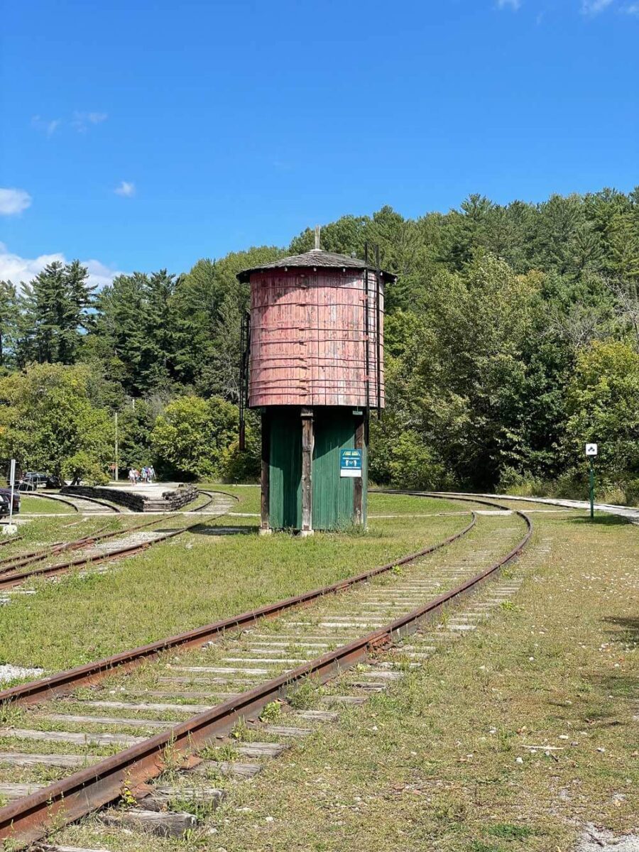 8 activities to do in Chelsea and Wakefield - Urbaine City