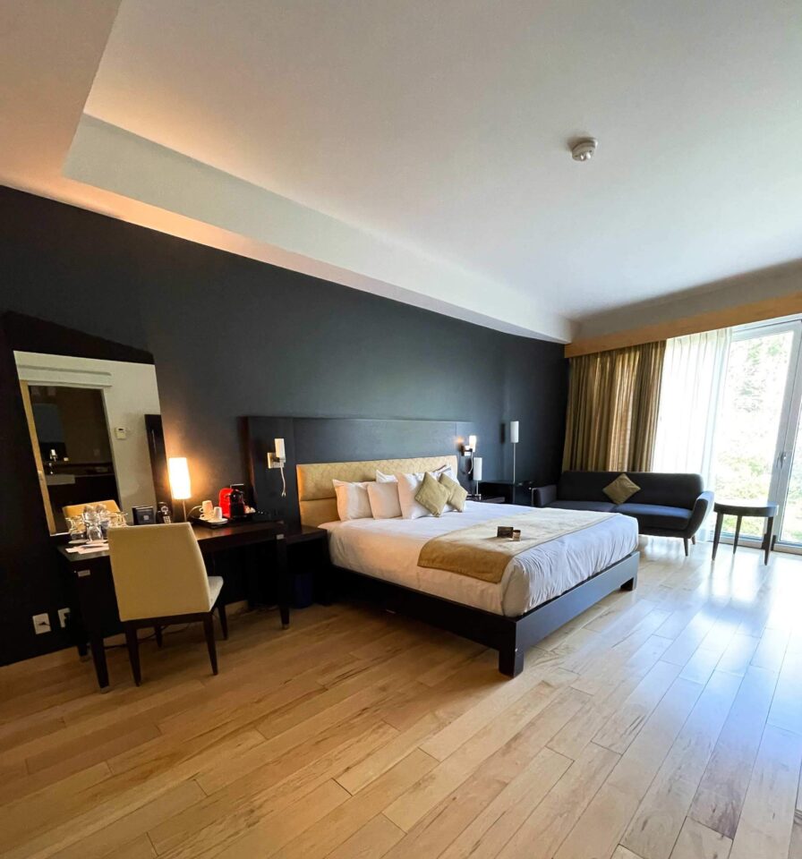 8 activities to do in Chelsea and Wakefield - Urbaine City