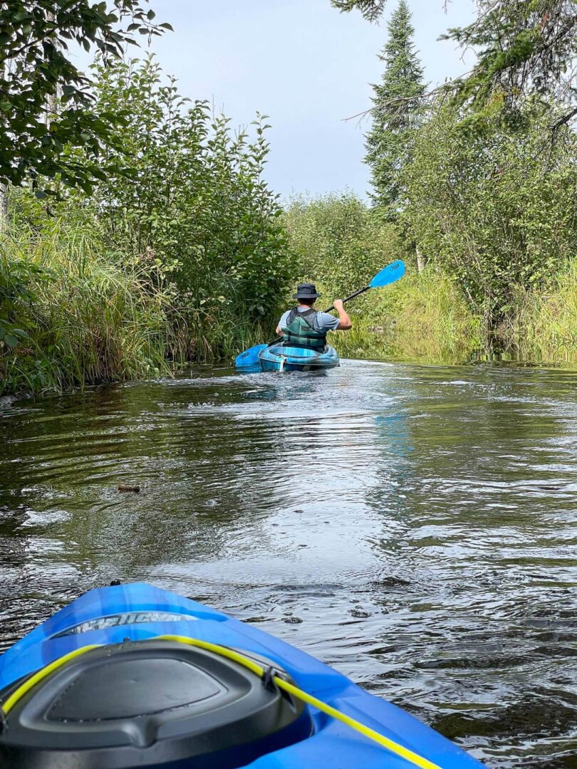 8 activities to do in Chelsea and Wakefield - Urbaine City