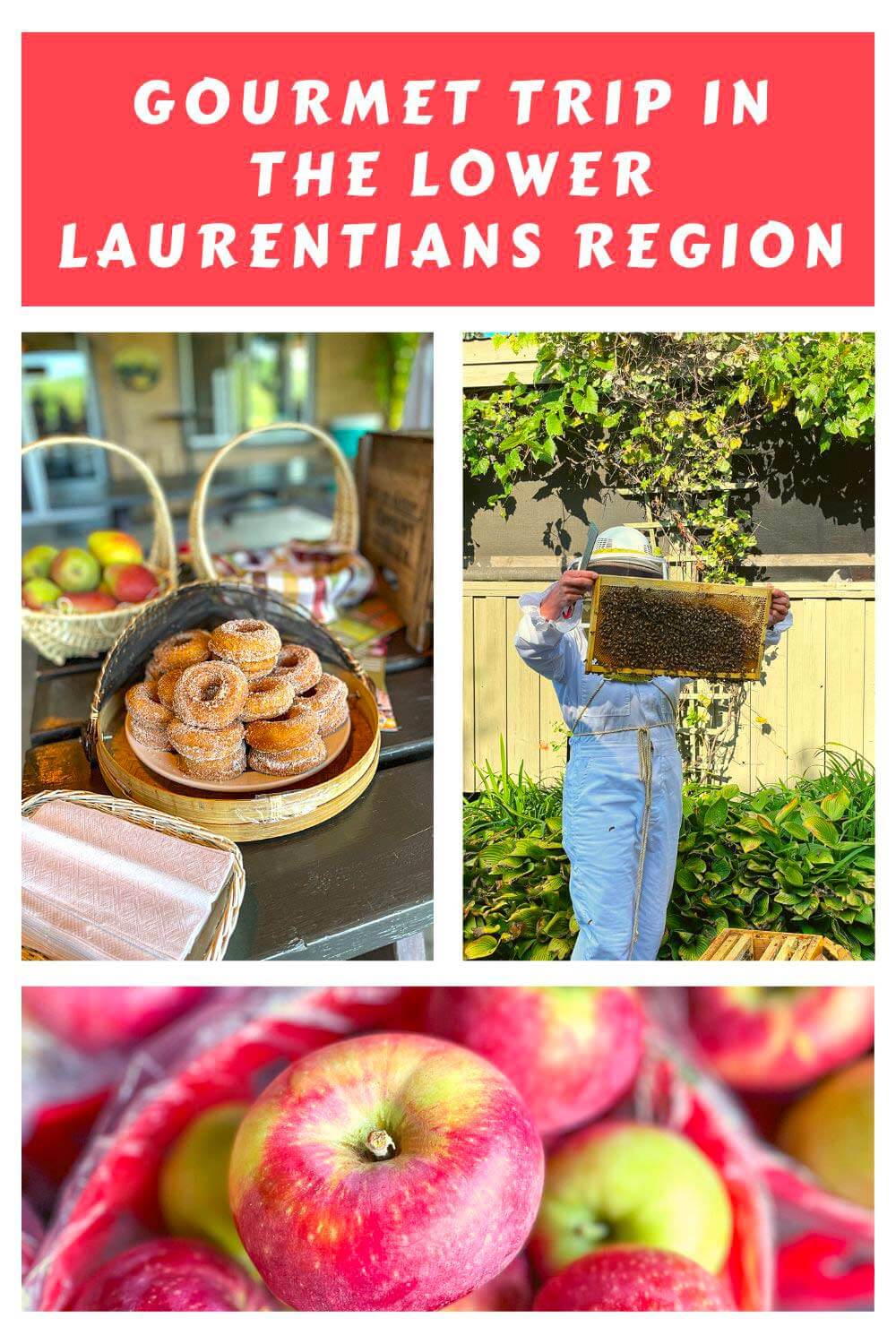 Gourmet circuit in the Lower Laurentians - Urbaine City