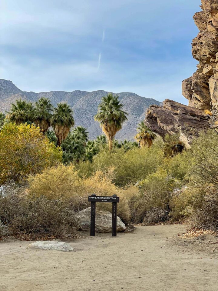 Travel guide: 10 best things to do in Palm Springs - Urbaine City