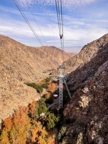 10 activités incontournables à faire à Palm Springs - Urbaine City