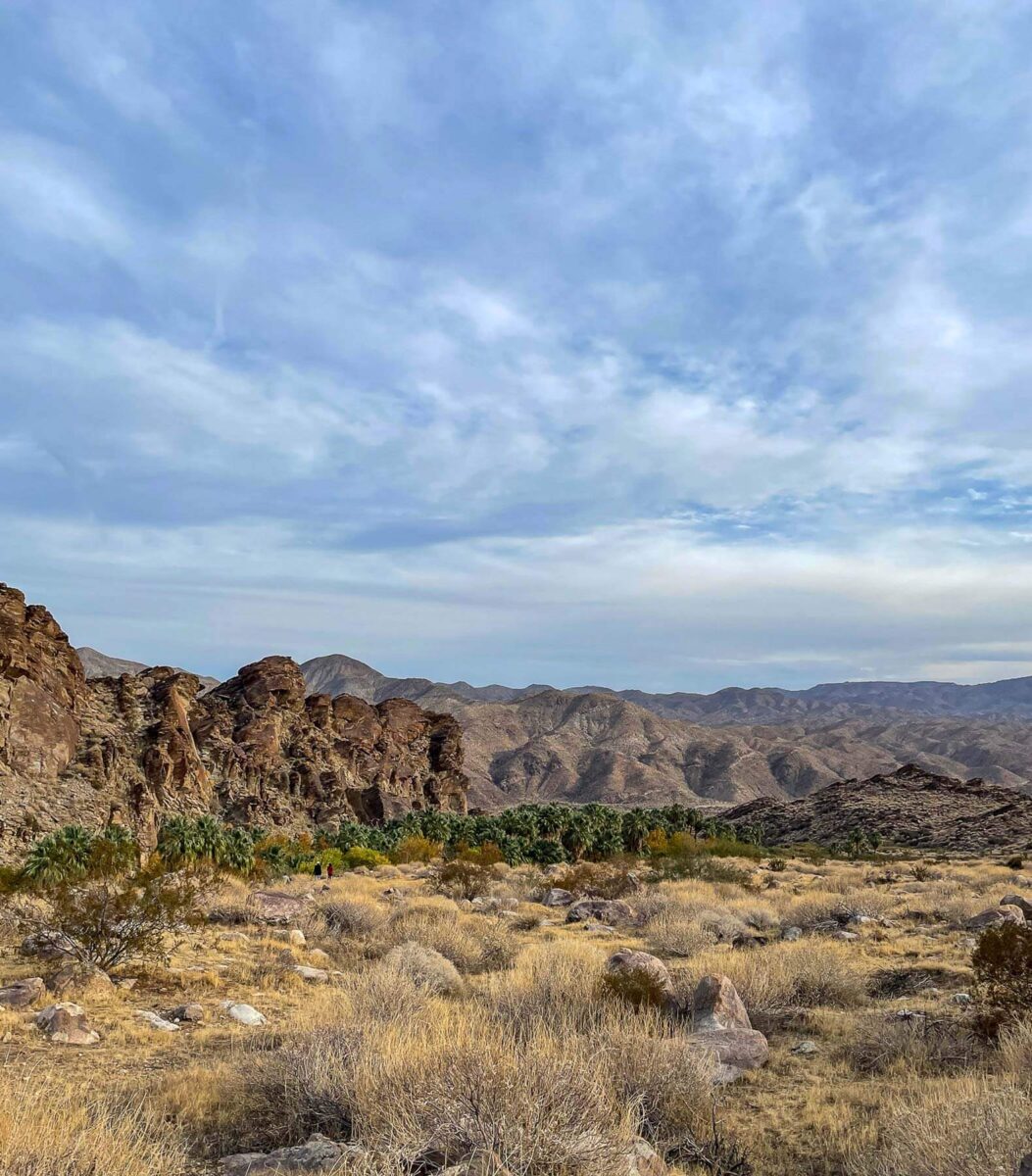 Travel guide: 10 best things to do in Palm Springs - Urbaine City