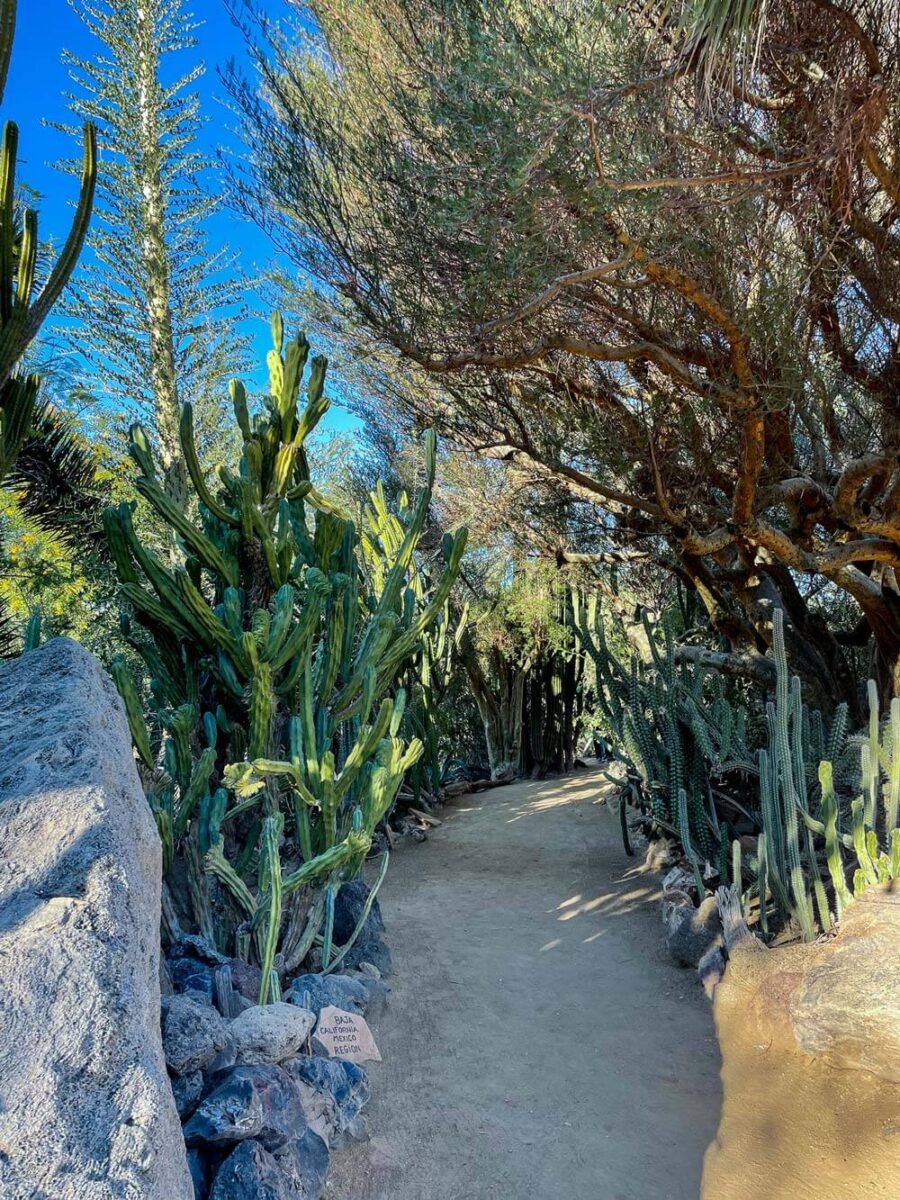 Travel guide: 10 best things to do in Palm Springs - Urbaine City