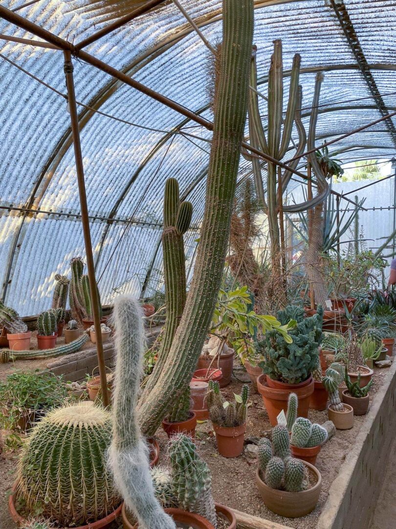 Travel guide: 10 best things to do in Palm Springs - Urbaine City