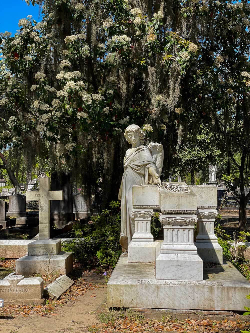 Plan your visit to Bonaventure Cemetery, Savannah - Urbaine City