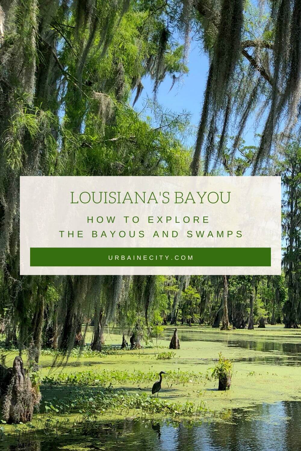 How to visit the bayou and swamps in Louisiana - Urbaine City
