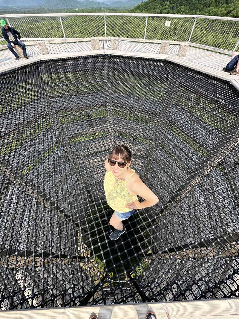 The Sentier des cimes Laurentides - Urbaine City