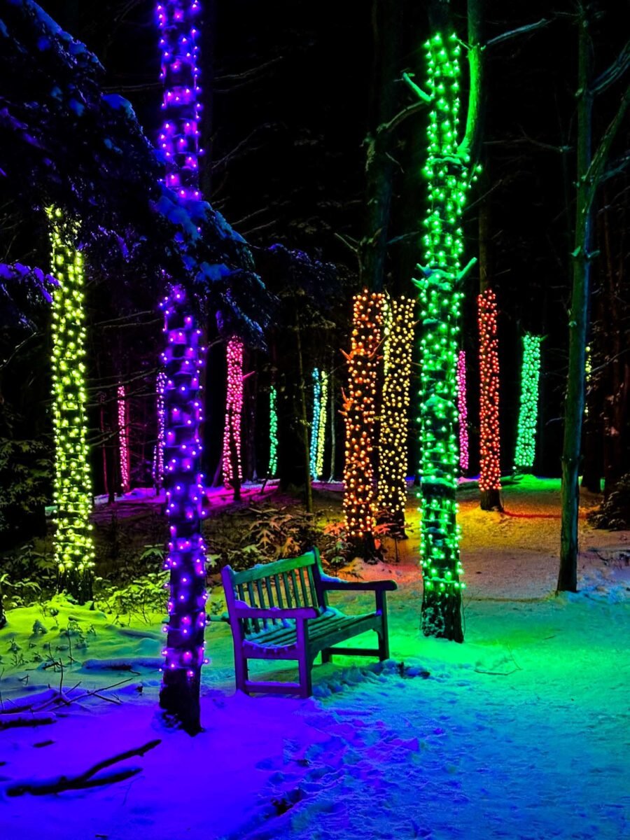 Wild Lights: winter wonderland at the Wild Center - Urbaine City
