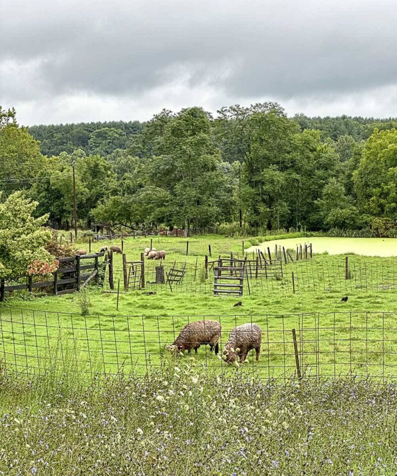 Loudoun County, Virginia: A Wine and Food Getaway - Urbaine City