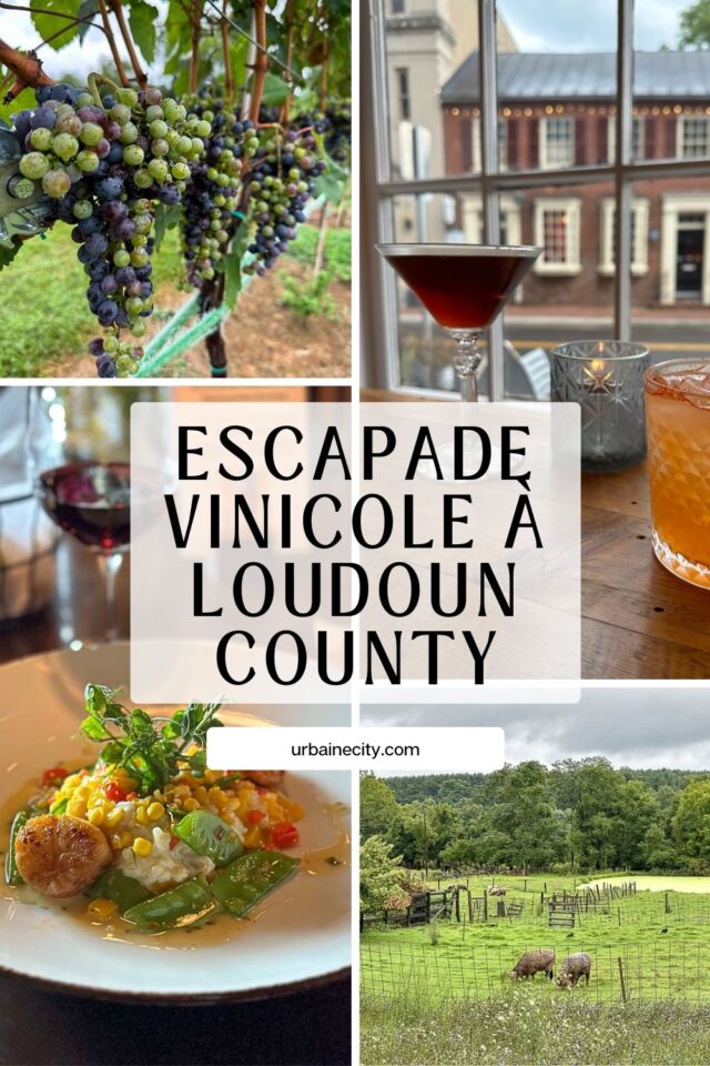 Loudoun County, Virginie: Escapade vinicole et gourmande - Urbaine City