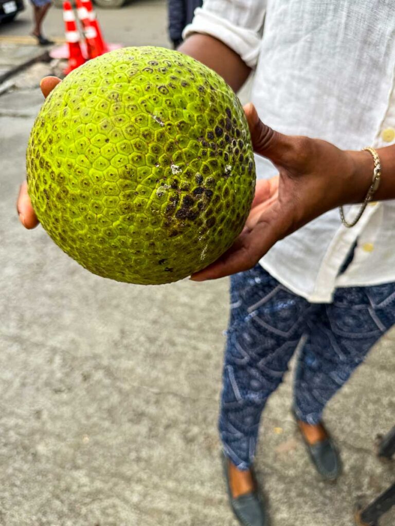 What to Eat in Antigua and Barbuda: 16 Must-Try Local Dishes - Urbaine City