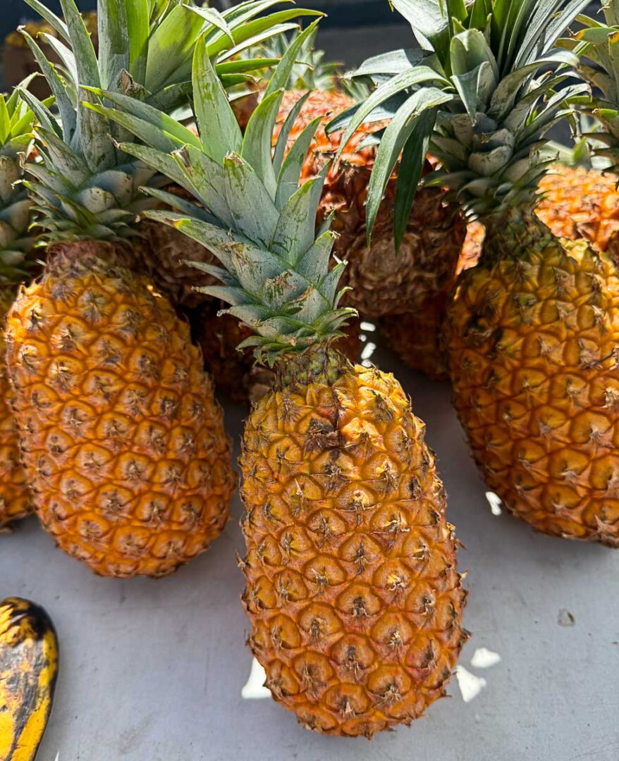 What to Eat in Antigua and Barbuda: 16 Must-Try Local Dishes - Urbaine City